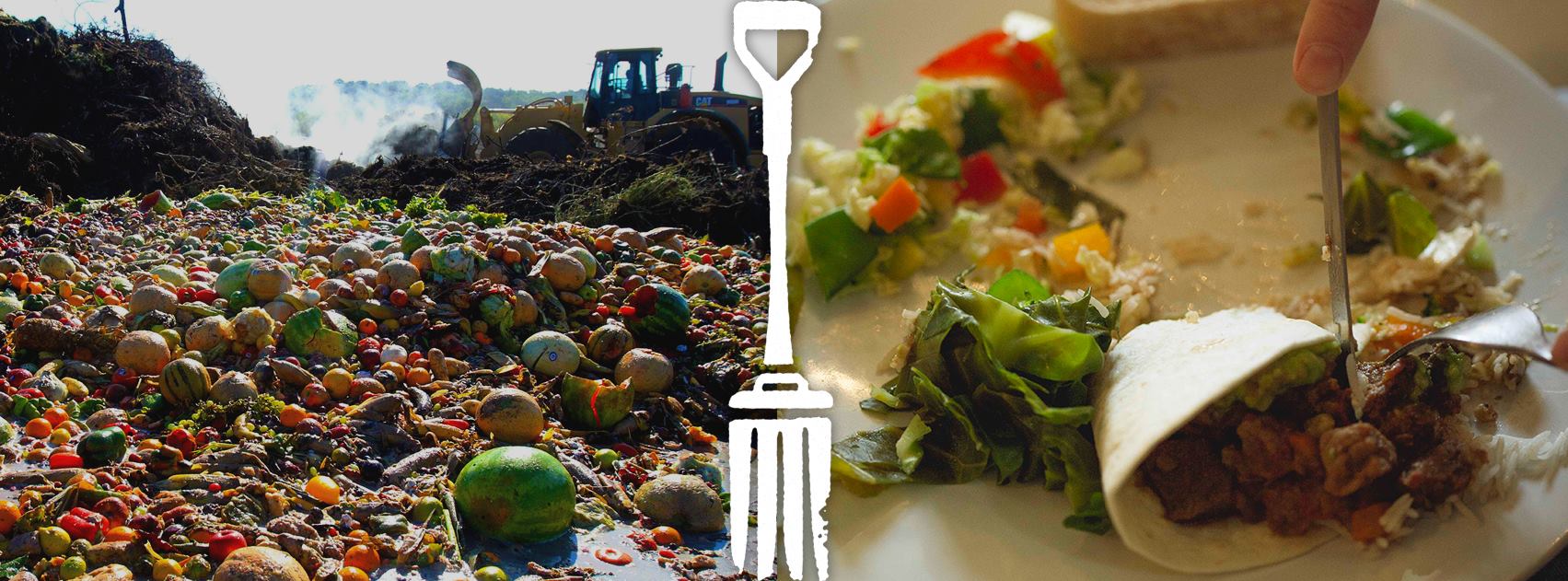 Website Launch - The Real Junk Food Project | Brighton | Ryan Cornelius ...